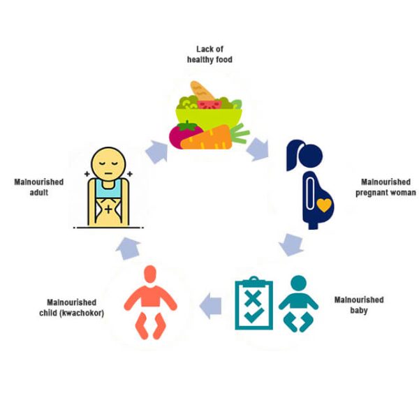 Combating Malnutrition - Pachamama Foods